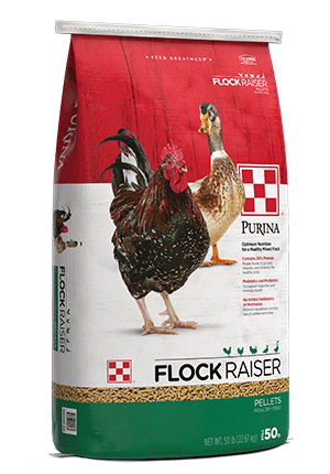 Purina® Flock Raiser® Pellets - Munson Lakes LLC